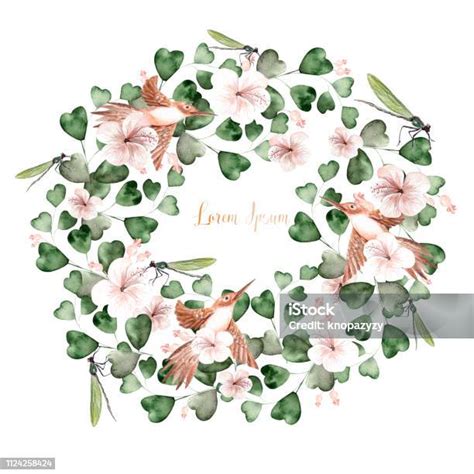 히 비 스커 스 꽃 수채화 열 대 화 환 유 칼 리 나무 잎 잠자리 벌 새 꽃 식물에 대한 스톡 벡터 아트 및 기타 이미지 꽃 식물 꽃봉오리 꽃집 주인 Istock