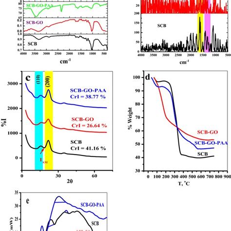 Sem Images With Different Magnifications Of Scb Scb Go And Scb Go Paa