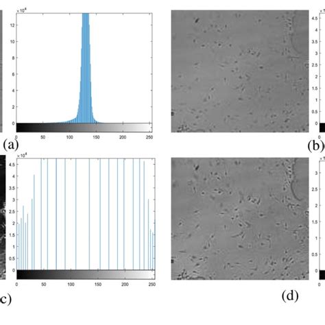 Results Of Applying Different Preprocessing Techniquedof The Proposed