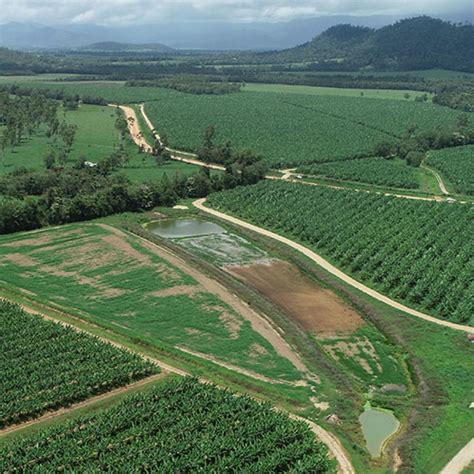 Constructed Wetland Trialled As Reef Water Quality Treatment System Constructed Wetland Trialled As Reef Water Quality Treatment System