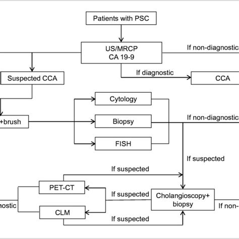 A Concise Algorithm For Demonstrating CCA In Patients With PSC PSC Download Scientific