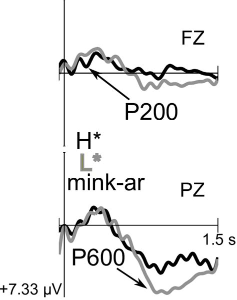 Event Related Brain Potentials Erps For On Line Processing Of Words Download Scientific