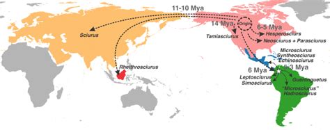 Map Summarizing The Inferred Colonization Scenario For The Tribe