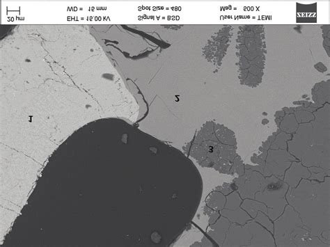 Sem Micrographs From Contacting Synthetic Slag And Concentrate Sample Download Scientific