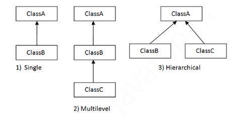 Inheritance Practice Exam Quiz Quiz Flashcards And Trivia