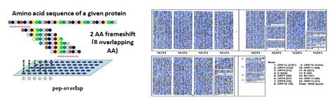 Peptide Microarray COVID Aurora Biomed