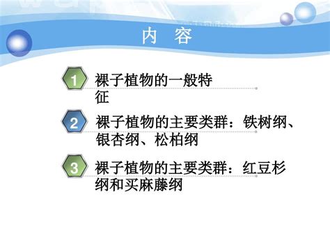 2016生物竞赛 植物分类4 裸子植物 Word文档在线阅读与下载 无忧文档