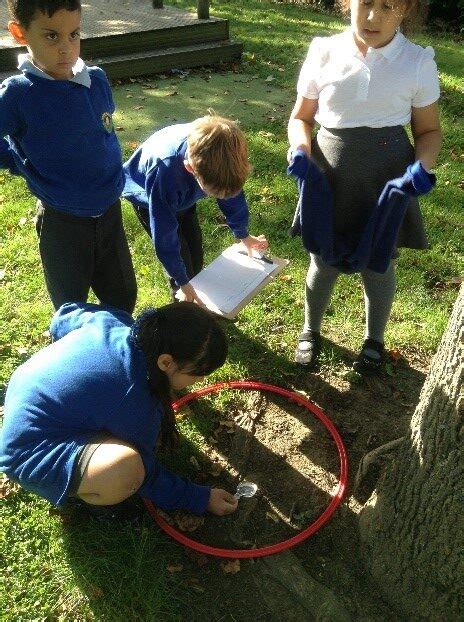 Science At The Ryde School 2021 2022 The Ryde School