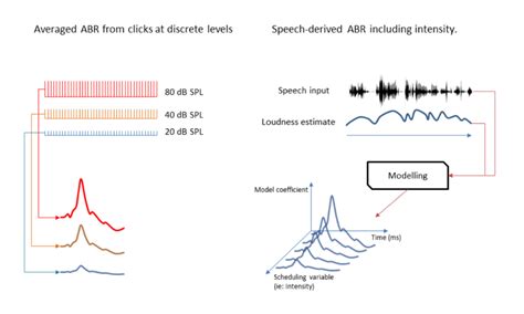 Optimizing Level Dependent Auditory Brainstem Responses To Continuous Speech Eriksholm