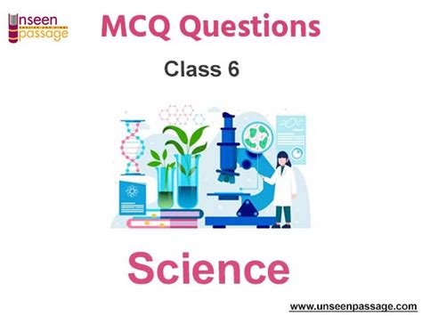 MCQ Questions For Class 6 With Answers Download Pdf