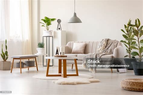 베이지색 소파 방석과 담요 Stnading 식물과 장식품으로 거실 인테리어에 램프 및 테이블 앞의 실제 사진 거실에 대한 스톡