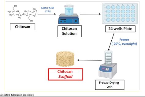 Figure 2 From Critical Overview On Pure Chitosan Based Scaffolds For Bone Tissue Engineering