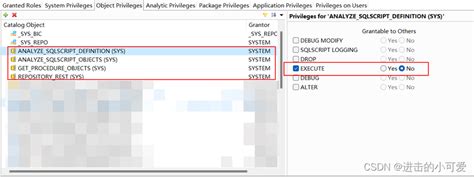 bw生成hana视图权限配置 sap bw建模权限 csdn博客