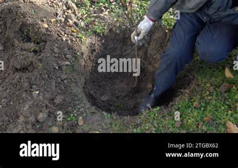 Soil Compaction Stock Videos And Footage Hd And 4k Video Clips Alamy