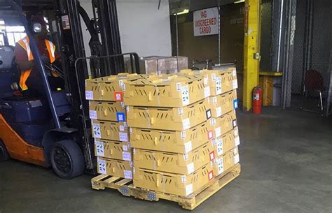 Service Shipping Inc Find Scac Codes