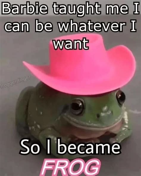 32 Frog Memes That Will Leap Into Your Good Graces