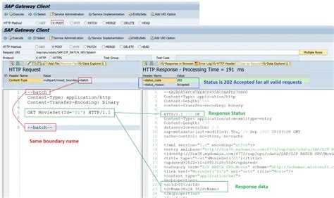 building odata services [21] batch management batch discovering abap