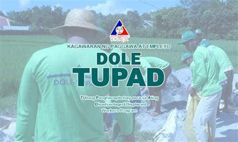 How To Apply For Dole Tupad Program Jobs Owwa Member
