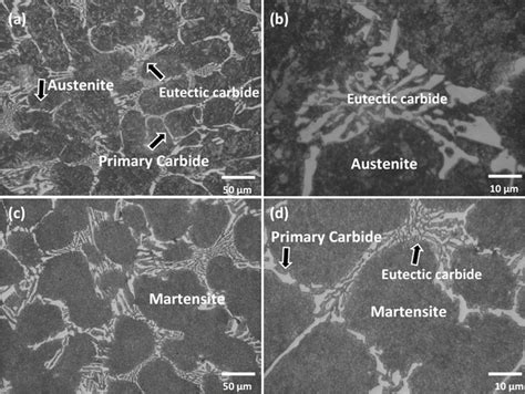 Optical Micrographs Of A As Cast Sample At 200× And B At 1000× 1