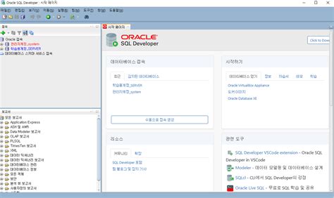 [oracle] oracle sql과 sql developer 설치 및 계정 생성하기 내 꿈은 개발자