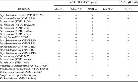 Table 2 From Nested Polymerase Chain Reaction Assay For Detection Of