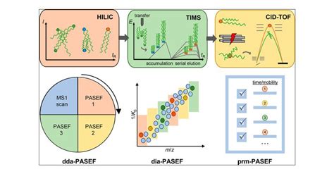 Steffen Heuckeroth On Linkedin Comparison Of Data Dependent Acquisition Data Independent