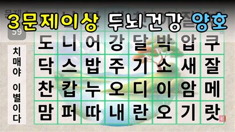 3문제이상 두뇌건강 양호 숨은단어찾기 치매예방활동 치매테스트 치매예방퀴즈 치매예방 낱말퀴즈 단어퀴즈 Youtube