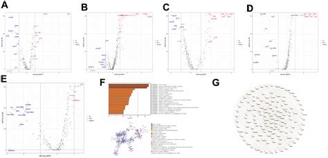 Potential Marker Genes For Chronic Obstructive Pulmonary Disease Revealed Based On Single Cell