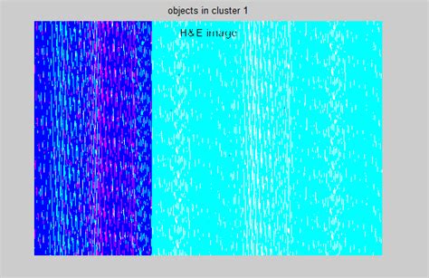 Image Processing Kmeans Is Not Working Properly In Matlab Stack