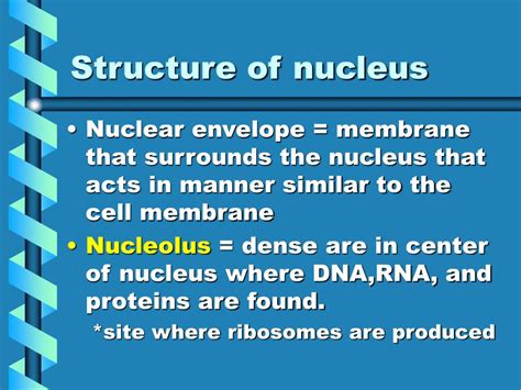 PPT Chapter Cell Structure And Function PowerPoint Presentation Free Download ID