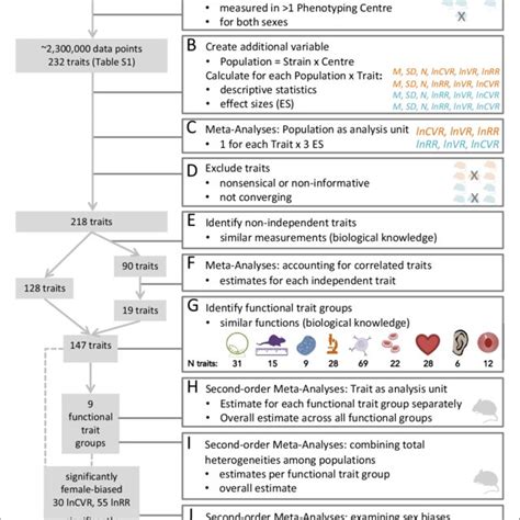 Workflow Of Data Processing And Meta Analysis Download Scientific