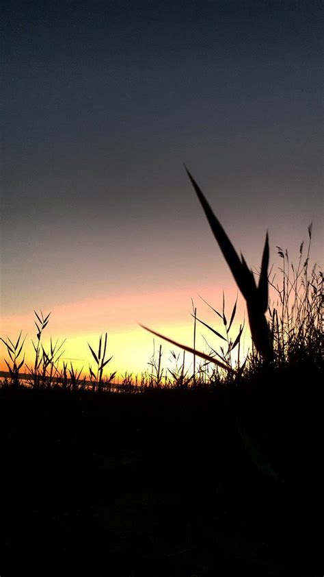 берег реки. закат. эстетика. | Sunset, Celestial, Outdoor