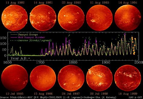 The Sunspot Cycle High Altitude Observatory