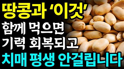 땅콩과 함께 먹으면 보약되는 음식 3가지와 레시피 총정리 값비싼 영양제 대신 이것 드세요 I 치매에 좋은 음식 I