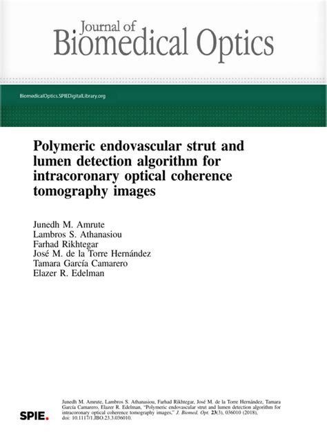 Polymeric Endovascular Strut And Lumen Detection Algorithm For