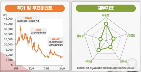 위메이드플레이 신작 출시 지연과 흥행 실패 가능성 리스크 게임와이 나무뉴스