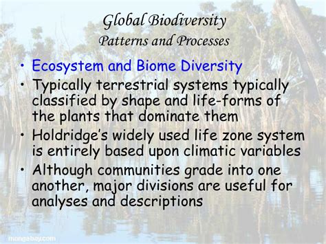 Ppt Global Biodiversity Powerpoint Presentation Free Download Id 1270367