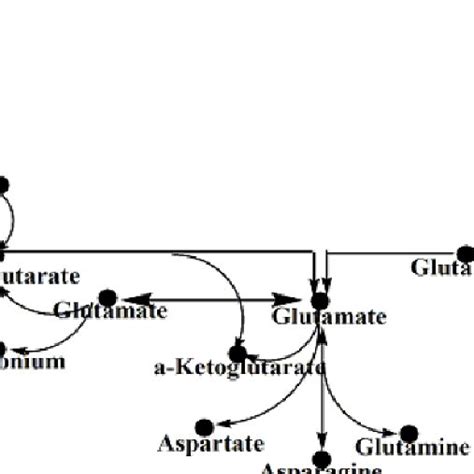 PDF Heterotrophic Growth Of Micro Algae