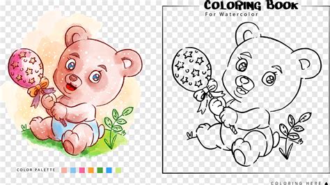 곰 수채화 색칠 공부 그림 Png Pngwing