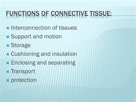 PPT Connective Tissue PowerPoint Presentation Free Download ID 1852542
