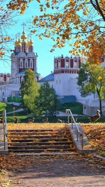 Новодевичье пруды в 🍂🍁осенних красках 🍂 осень2024 москва москва2024 осень Youtube