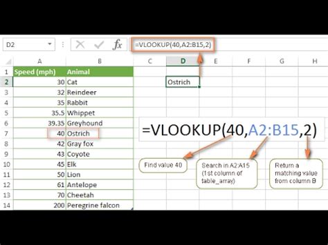 VlookUp Function Excel Easy Tutorial 2016 YouTube