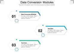 Data Conversion Modules Ppt Powerpoint Presentation Show Microsoft Cpb