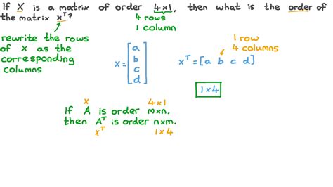 Question Video Finding The Order Of A Matrix Transpose Nagwa