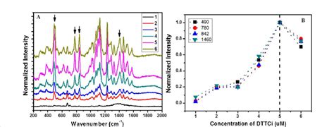 Sers Analysis Enhancement Of Sers Spectra At Different Concentrations Download Scientific