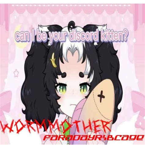 Discord Kitten Explained [what They Are What They Do] 44 Off