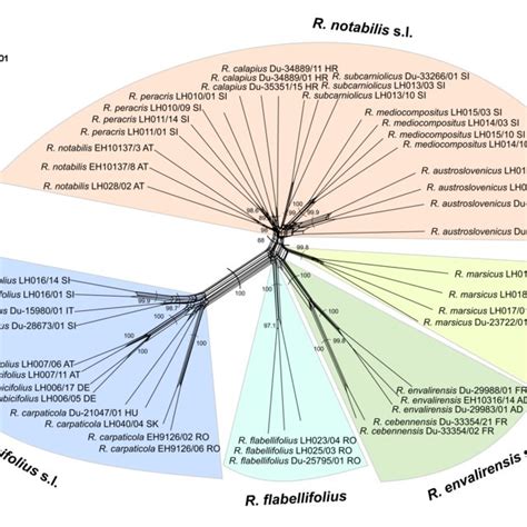Coalescent Based Species Tree And Species Delimitation Analyses Of Download Scientific Diagram