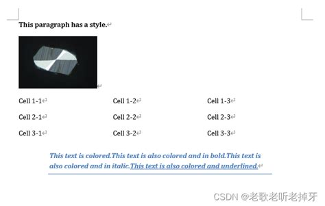 Python之读写docx文件实例python From Docx Import Document Csdn博客