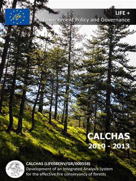 Fire Detection Systems Pdf Wildfire Simulation