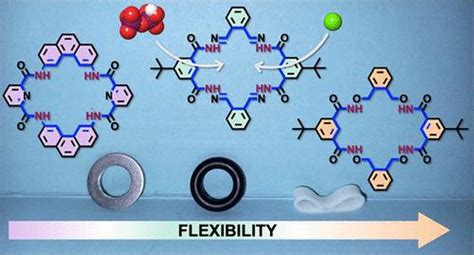 用于结合焦磷酸盐和较小阴离子的半柔性四腙大环化合物 The Journal Of Organic Chemistry X Mol
